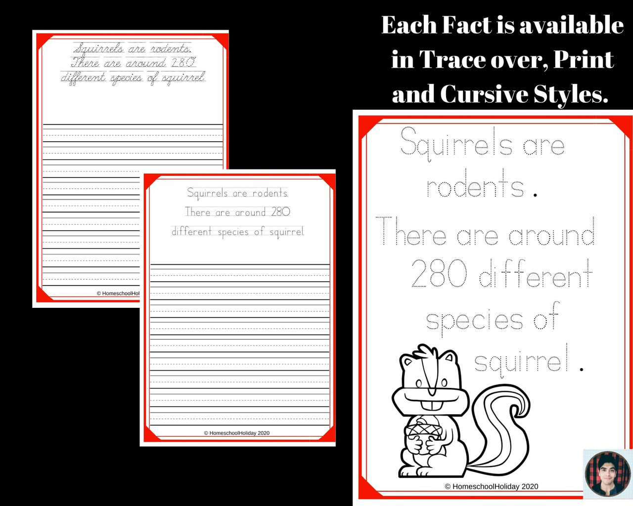 Pumpkin Pie Copywork Handwriting practice - FLASH FREEBIE