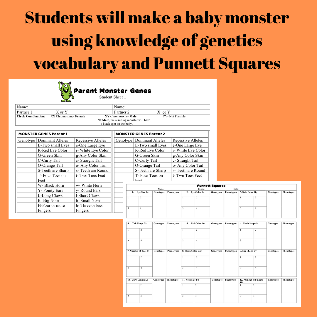 Create a Baby Monster: Genetics Activity for Middle School