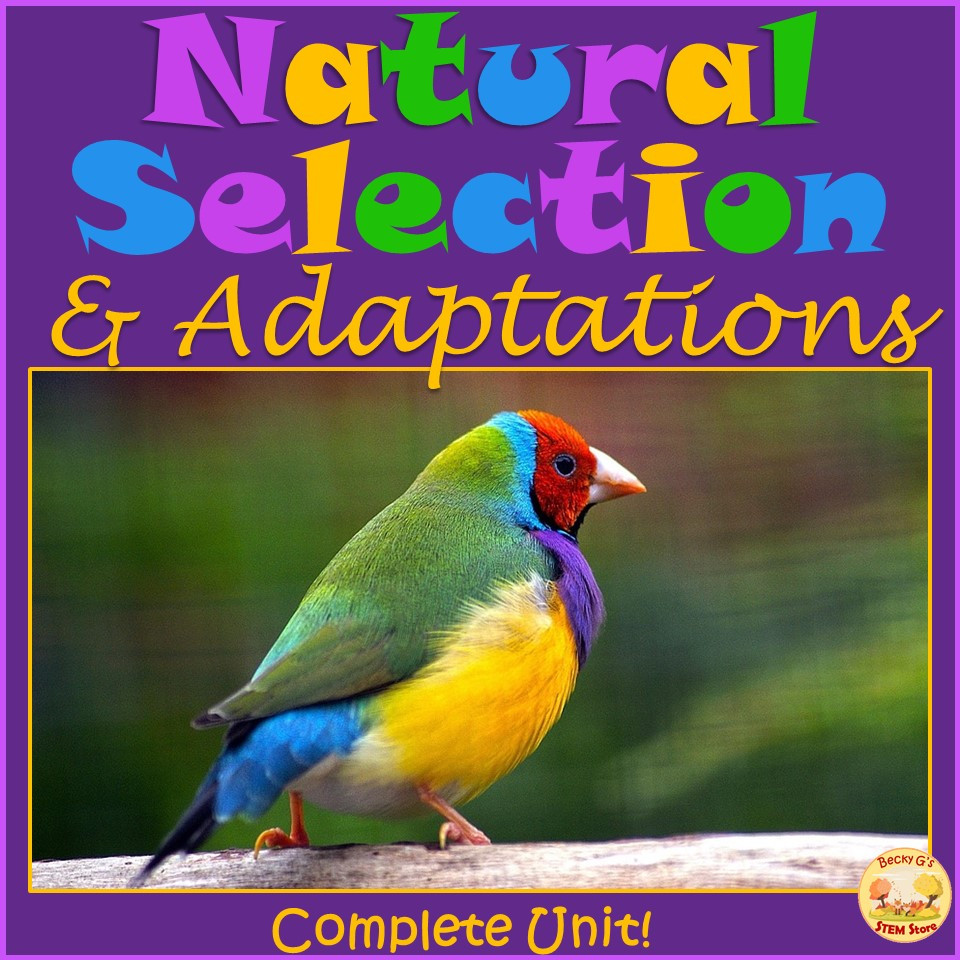 Natural Selection and Adaptation Complete Unit - Amped Up Learning