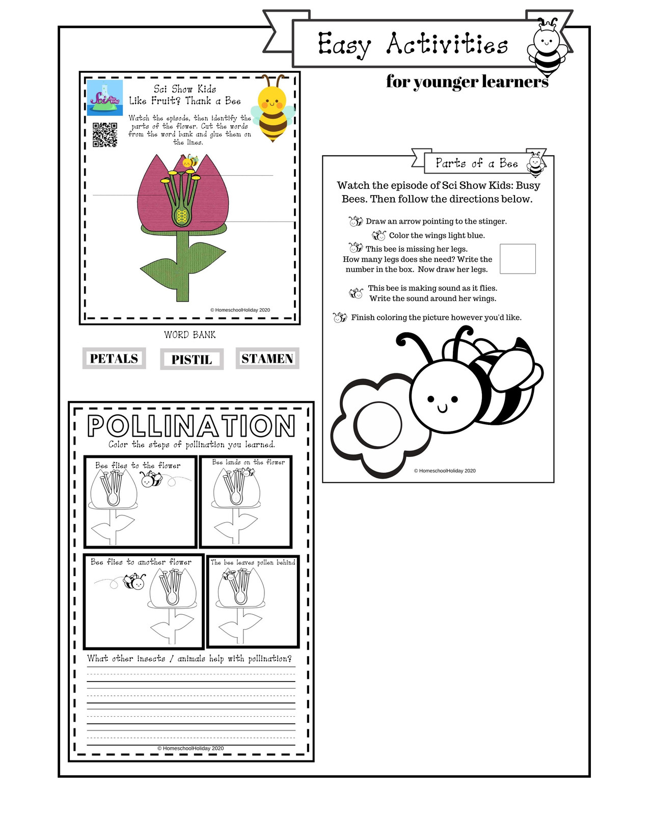 Bees, Flowers and Pollination - Digital and Paper resources