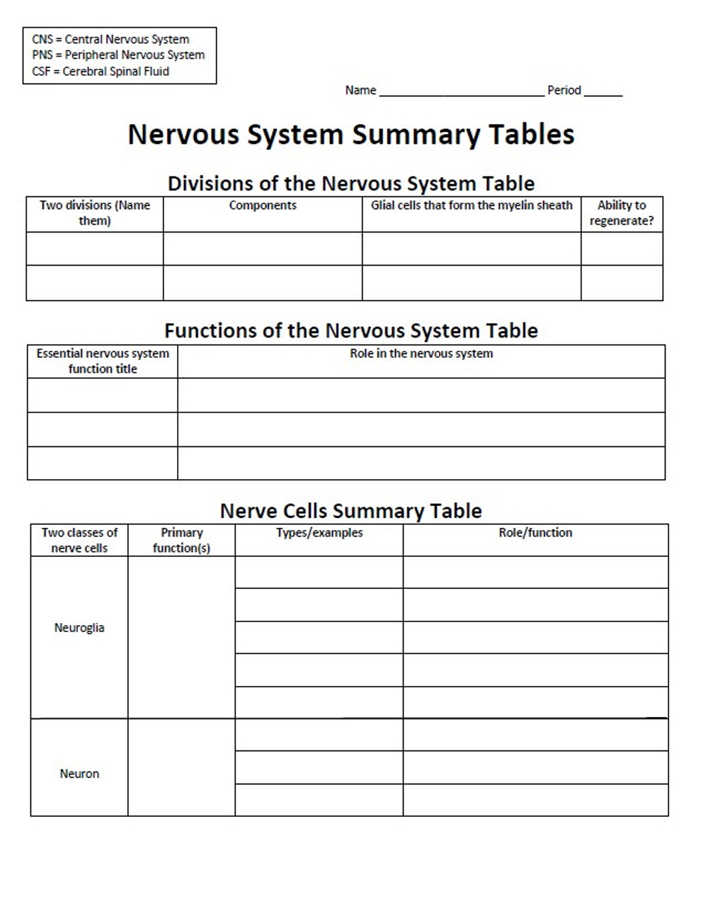 Divisions, Functions, Cells, & Brain Lobes of the Nervous System Table ...