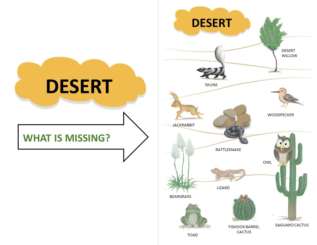 Ecosystems and Biomes Desert Game
