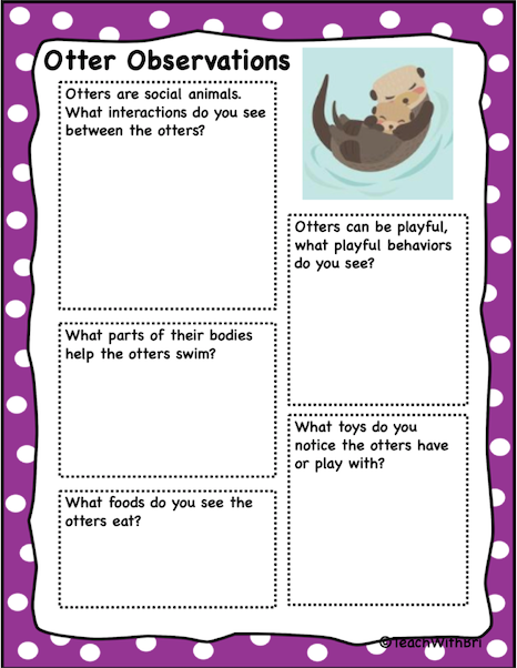 Digital Version Otters Virtual Field Trip digital version