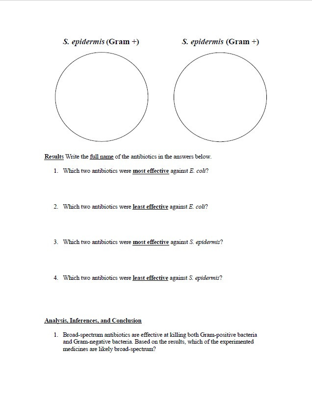 Antibiotic Sensitivity Disk Lab Manual for Microbiology