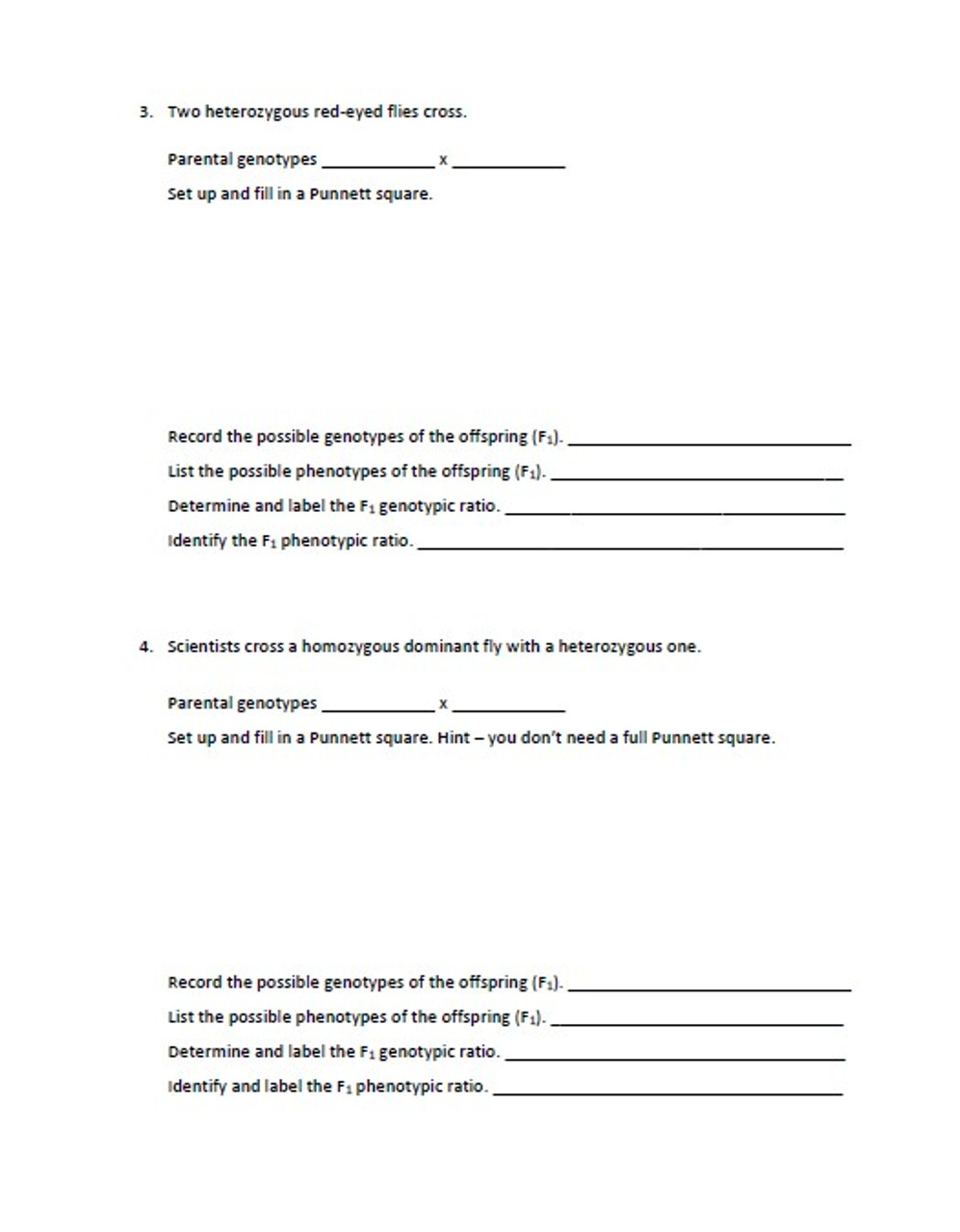 How To Set Up A Mendelian Genetics Problem Guide And Fundamental