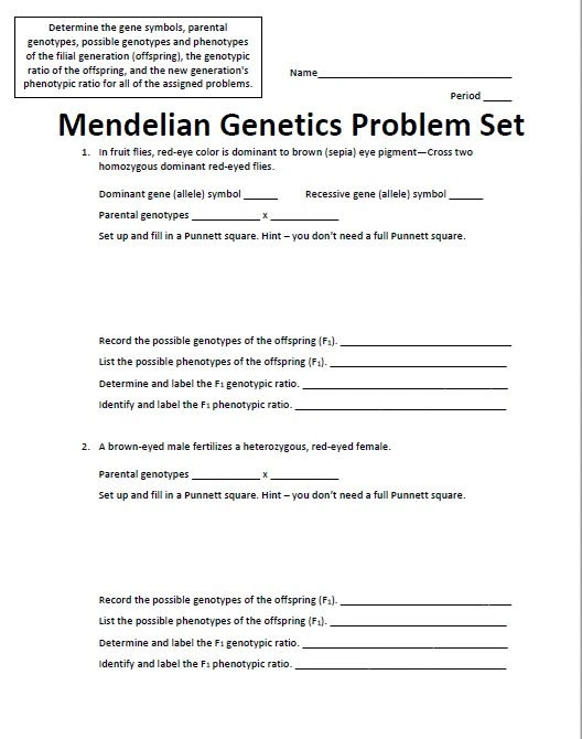 How to Set Up a Mendelian Genetics Problem Guide and Fundamental ...