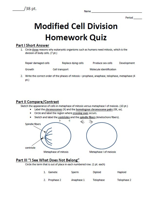 Mitosis and Meiosis Homework Quiz Bundle - Amped Up Learning