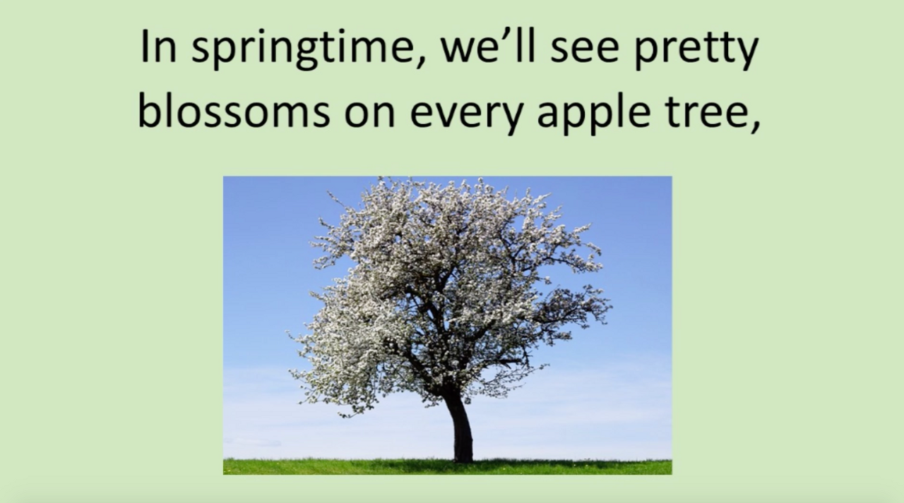 ‘FOUR SEASONS’ (Grades Pre K-3) ~ Curriculum Song Video
