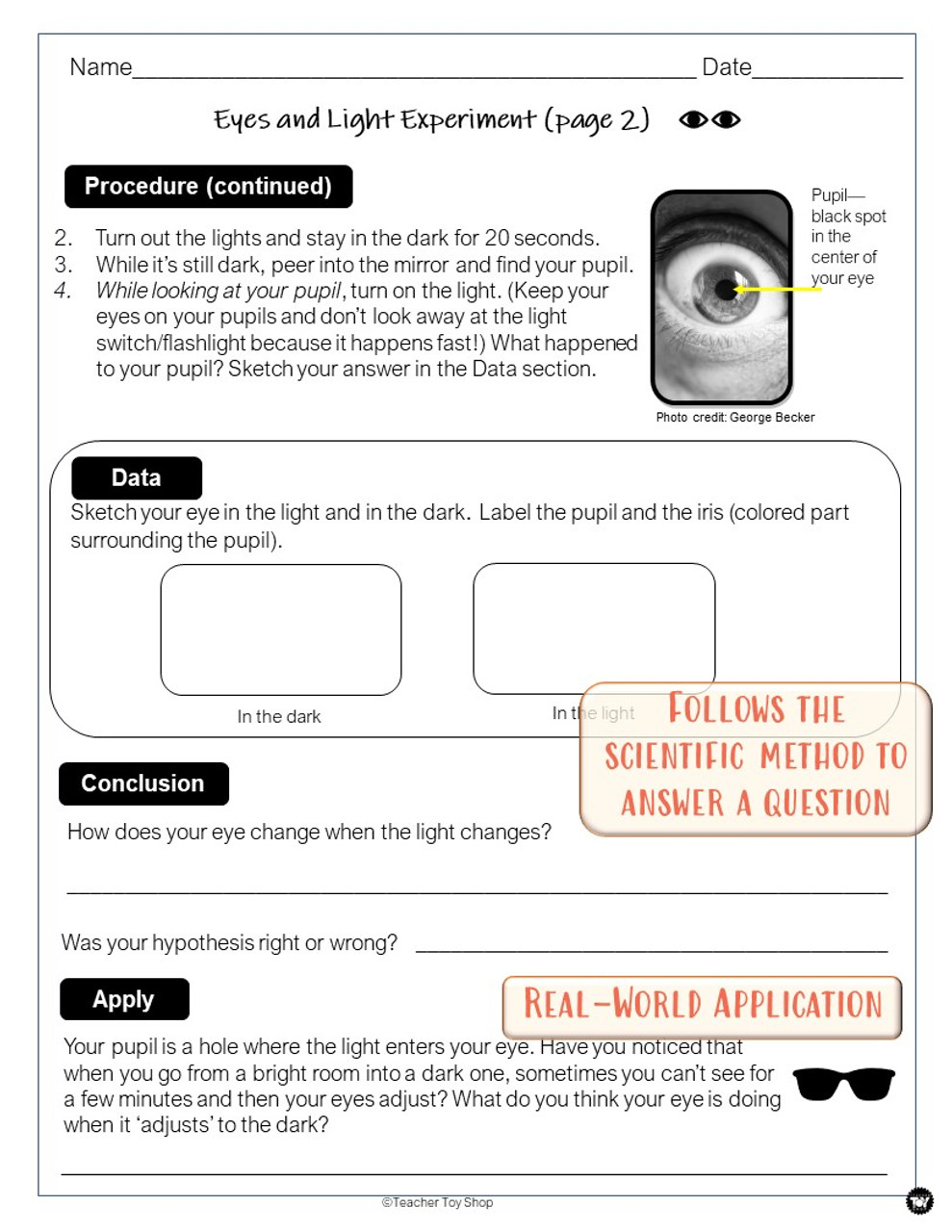 Light and Eyes Science Activity
