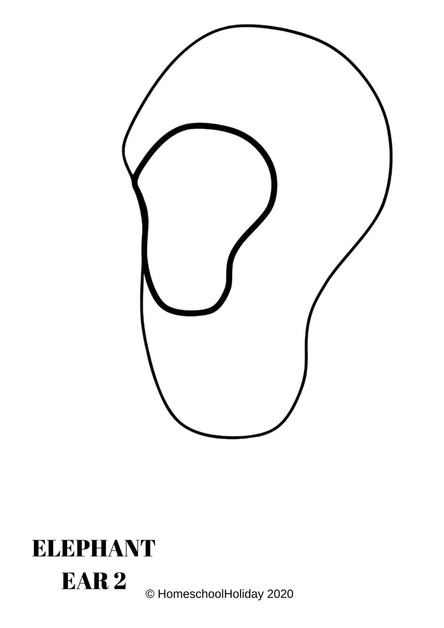 Elephant Ear Pattern