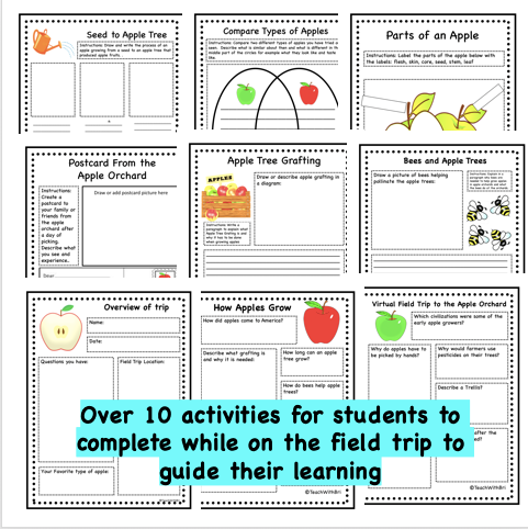 Apple Orchard Virtual Field Trip