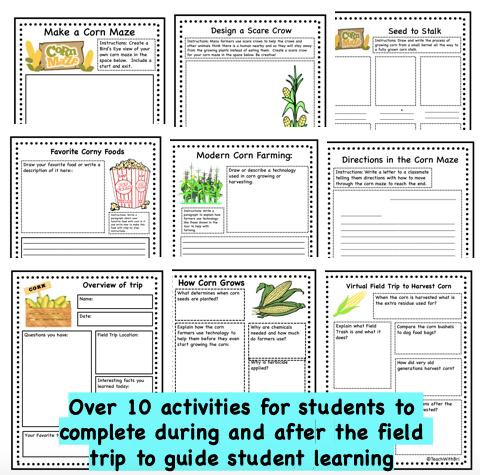 Corn Maze Virtual Field Trip