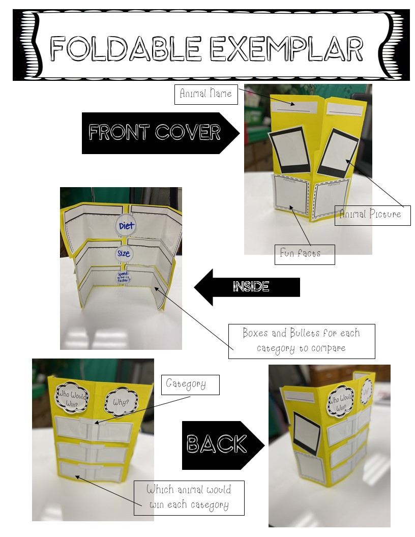 Third Grade Reading Resources Digital Bundle