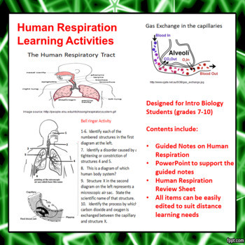 Human Respiration Learning Activities (Distance Learning)