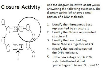 DNA/RNA, Protein Synthesis and Biotechnology Learning Activities ...