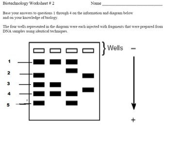 DNA/RNA, Protein Synthesis and Biotechnology Learning Activities ...