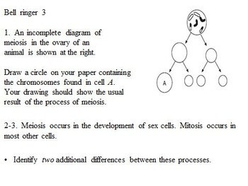 Meiosis Learning Activities (Distance Learning)
