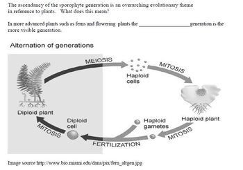 Plant Reproduction and Development Learning Activities (Distance Learning)
