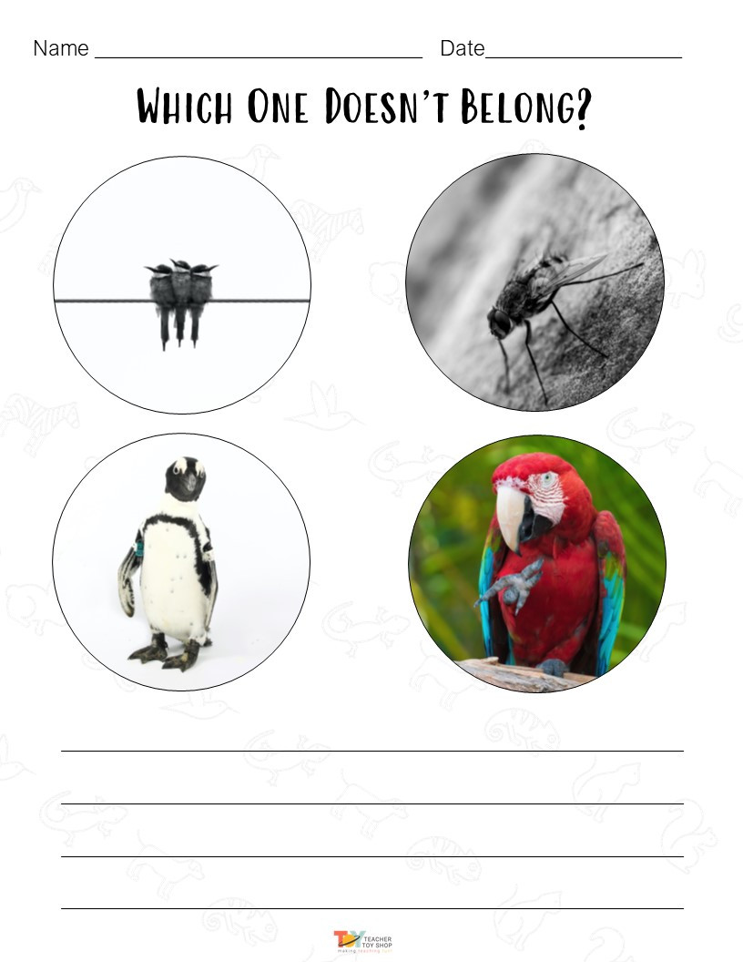 Which One Doesn't Belong? ANIMALS - FREE