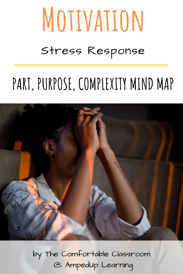Motivation: Stress Response - Amped Up Learning