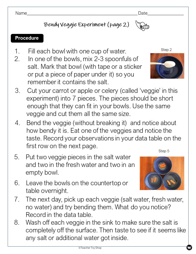 Cell Organelles Activity | Distance Learning for Google Slides™ + print ...