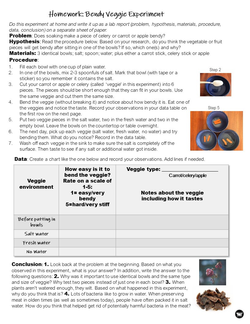 Cell Organelles Activity | Distance Learning for Google Slides™ + print ...