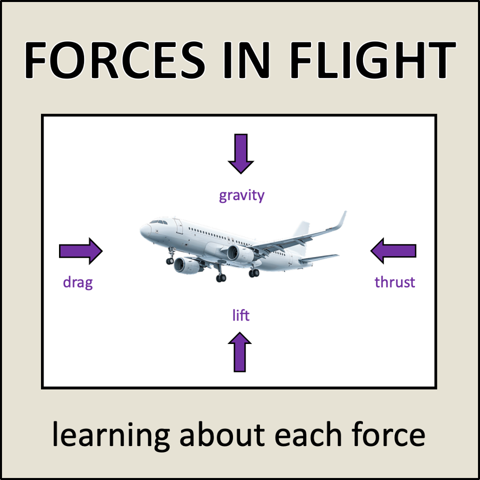 Flight