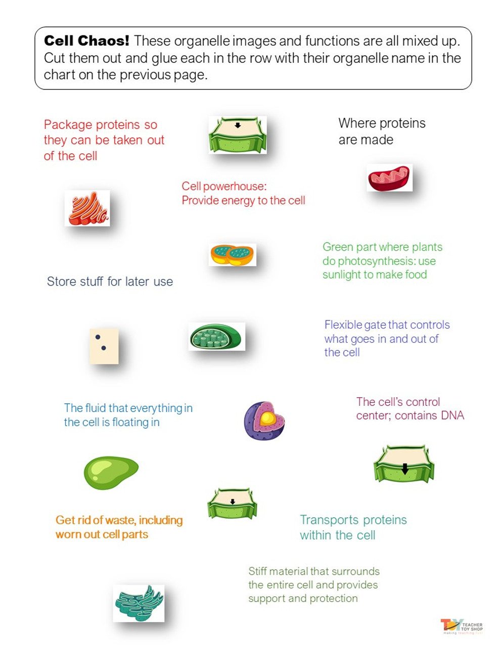 Plant Cells Organelle Activity | Google Slides™ for Distance Learning ...