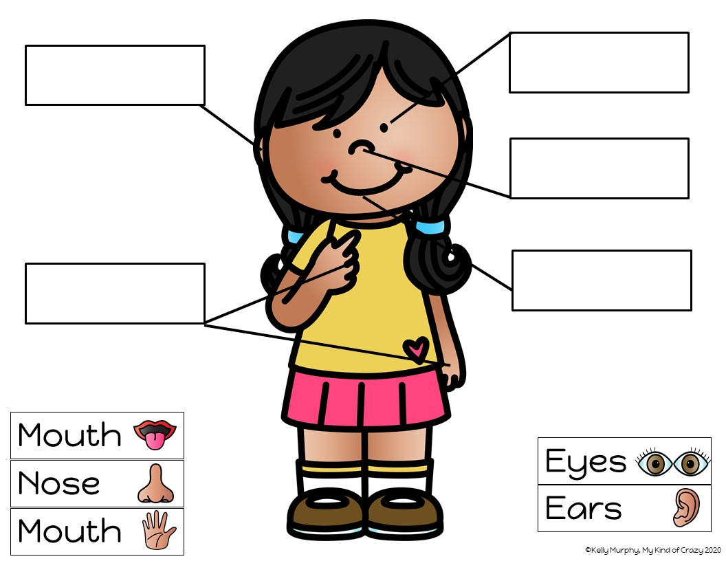 Five Senses Google Slides, Distance Learning, Centers, Spec Ed