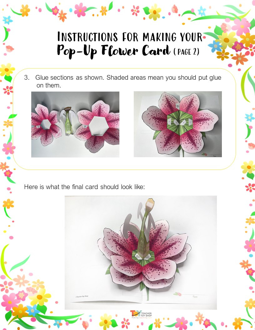 Parts of a Flower STEM Activity