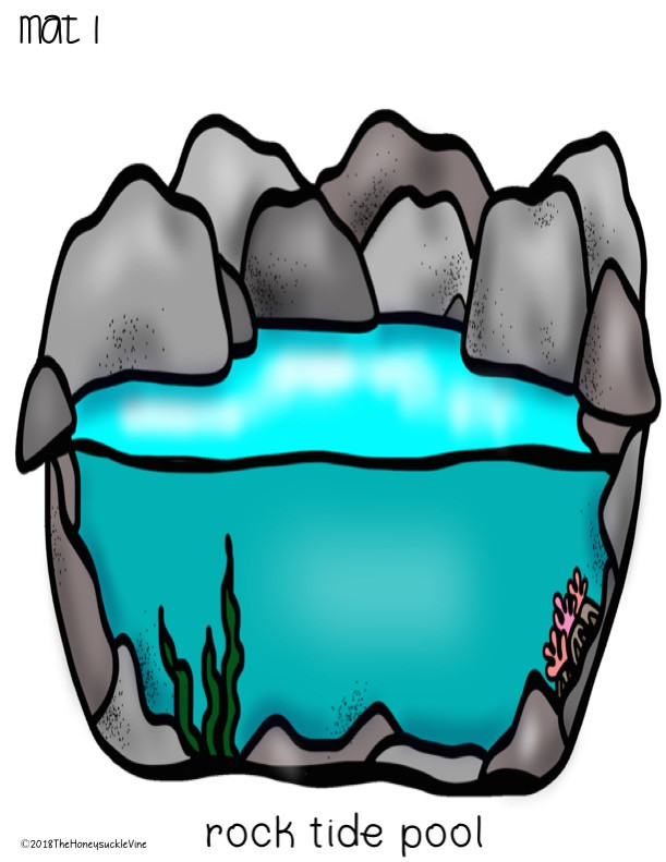 Following Directions with Positional Words Tide Pools