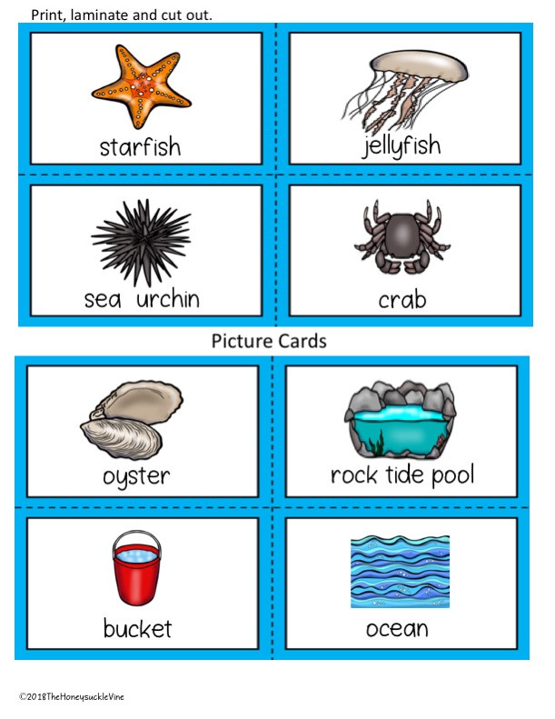 Following Directions with Positional Words Tide Pools