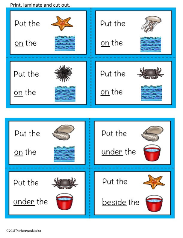 Following Directions with Positional Words Tide Pools