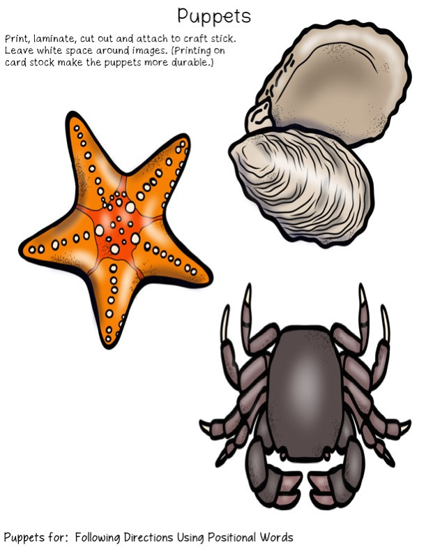 Following Directions with Positional Words Tide Pools