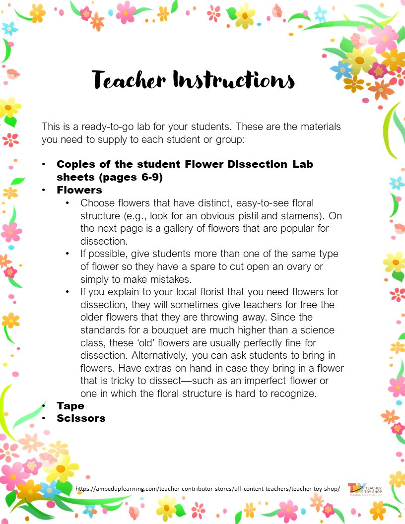 Parts of a Flower Dissection Science Lab