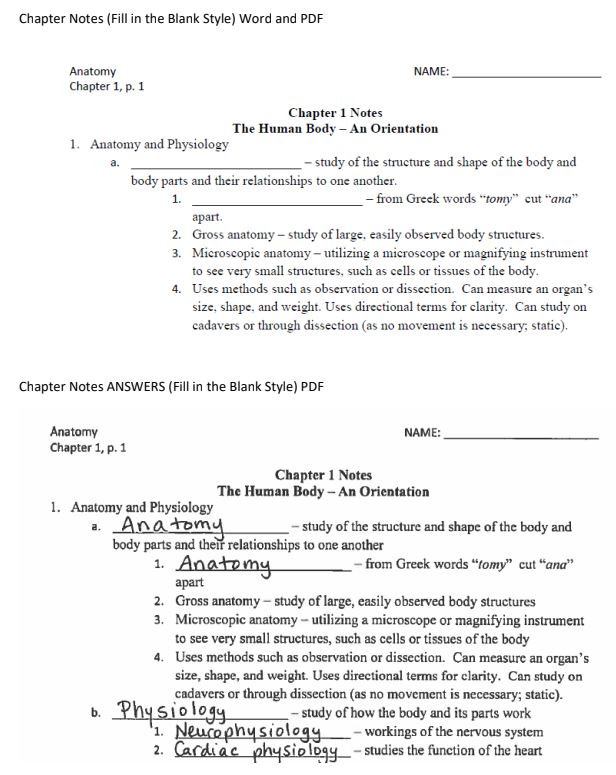 Reproductive System (Anatomy Ch 16 - Bundled Lesson)