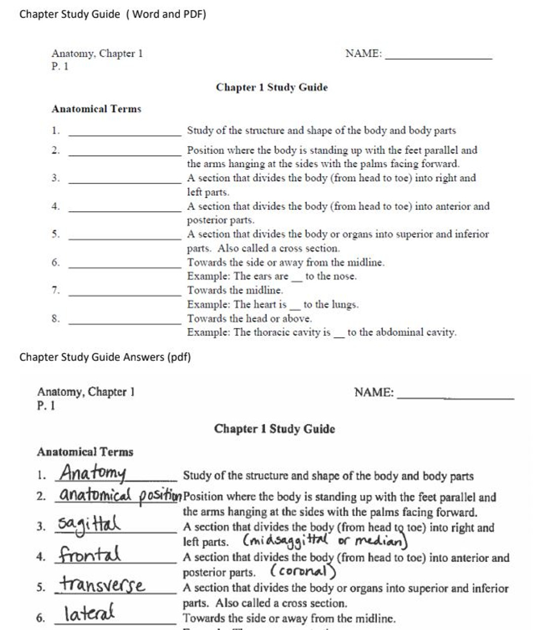 anatomy and physiology coloring workbook answers