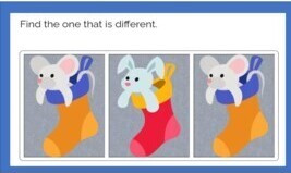 Find the Difference: Winter Animals Boom Cards™