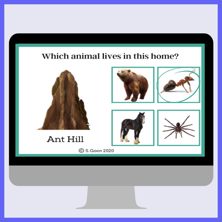 Animals and Their Homes- 2 Level Matching- Boom Cards- With Real Images