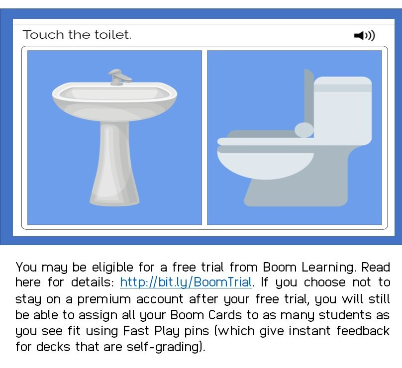 Vocabulary: Bathroom Items - Level 1 - Boom Cards™ - Amped Up Learning
