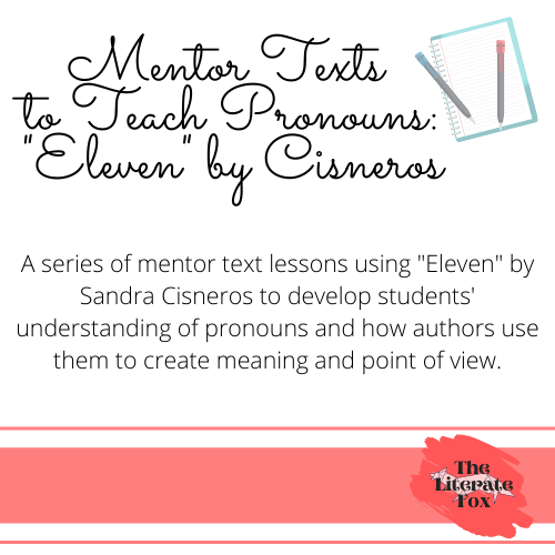 Using Mentor Text "Eleven" to Teach Pronouns - Amped Up Learning
