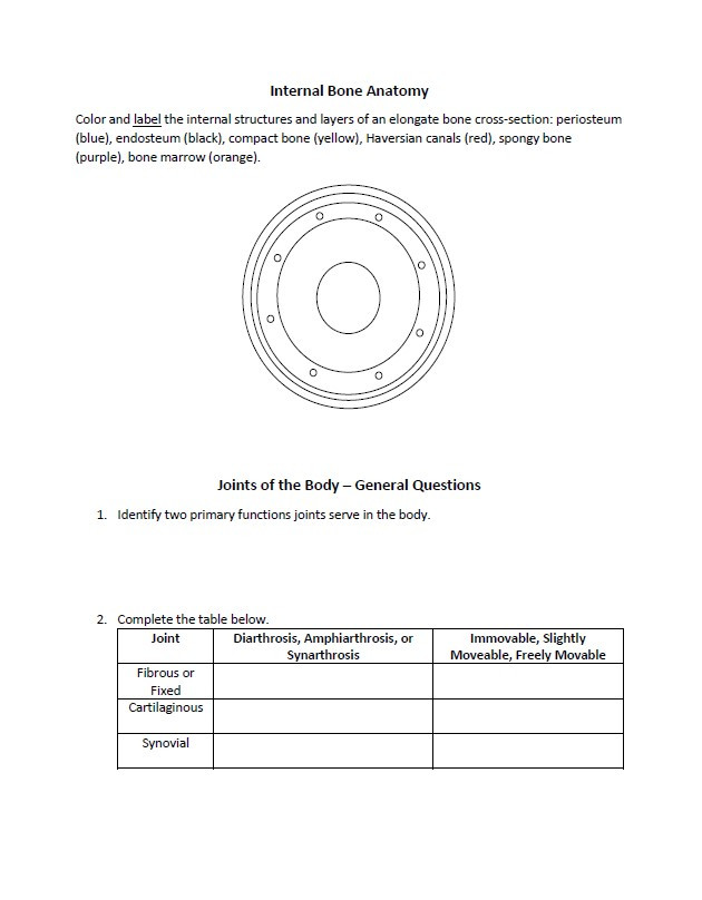 Skeletal System Study Guide