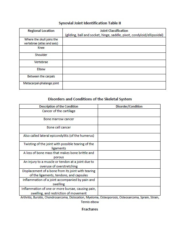 Skeletal System Study Guide
