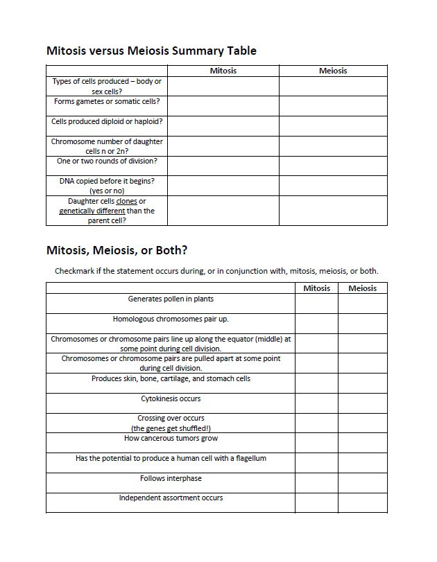Cell Division and Cell Cycle Study Guide Packet - Amped Up Learning