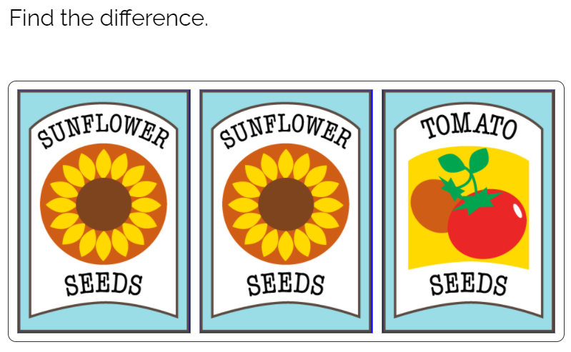 Find the Difference: Spring Items Theme Boom Cards™ - Amped Up Learning