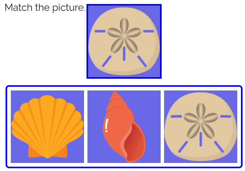 Match the Picture: Summer Theme Boom Cards™ - Amped Up Learning