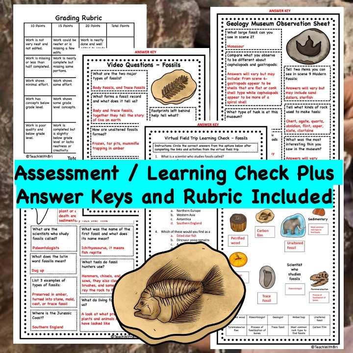 Fossils- Virtual Field Trip- Digital Version