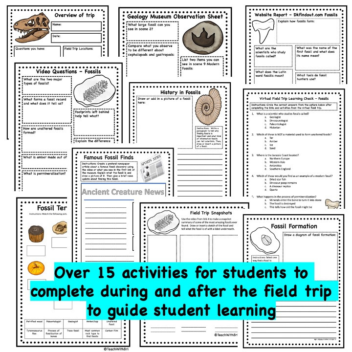 Fossils- Virtual Field Trip- Digital Version