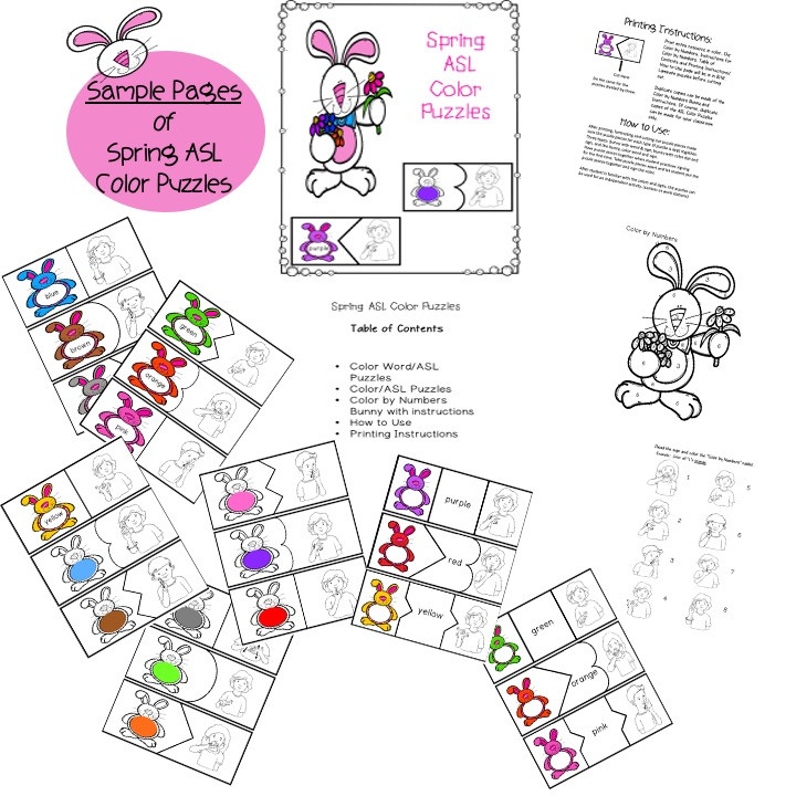 Special Education Spring ASL Color Puzzles