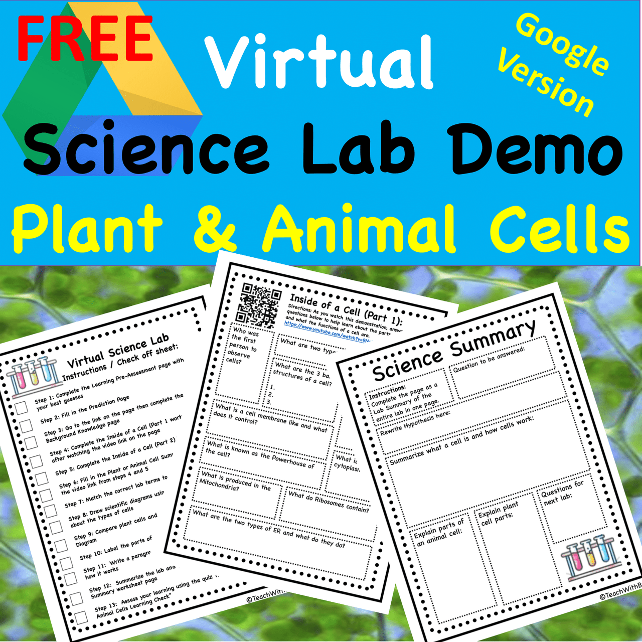 FREE Virtual Science Lab - Plant and Animal Cells